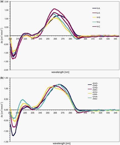 Cd Spectra Of Rna Duplexes A Spectra Of Duplexes Download
