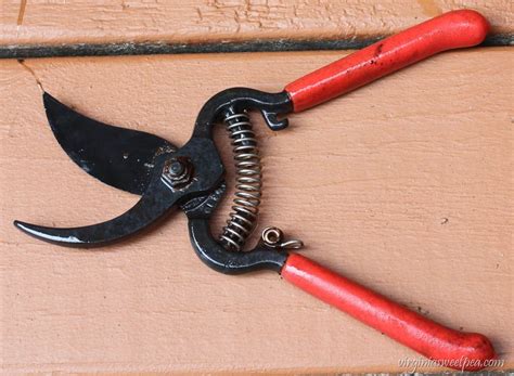 How To Easily Remove Rust From Tools Sweet Pea