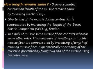Isotonic And Isometric Contraction Of Musclepptx