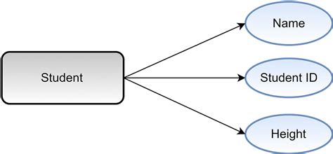 Basic Concepts Of Entity Relationship Modelling In Database Systems