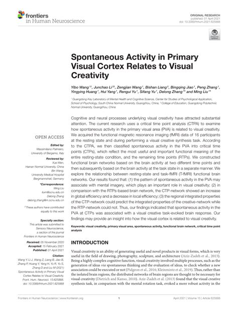 Pdf Spontaneous Activity In Primary Visual Cortex Relates To Visual Creativity