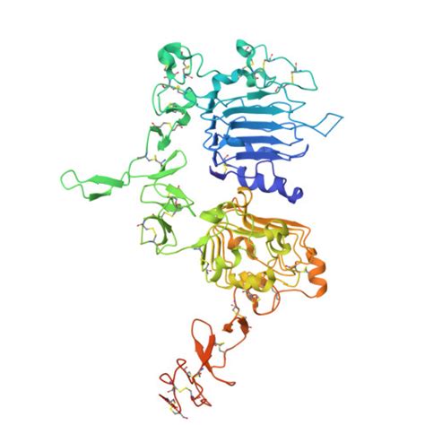 Rcsb Pdb 5my6 Crystal Structure Of A Her2 Nb Complex