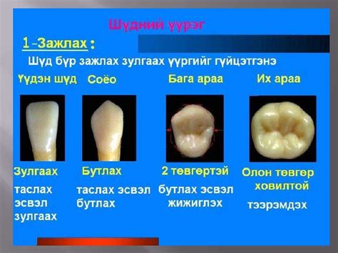 202 хэсэг бие даалт