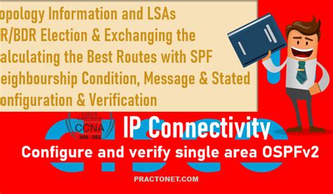 Roles And Functions Of Network Components Router Switches Firewalls Endpoints Cyber