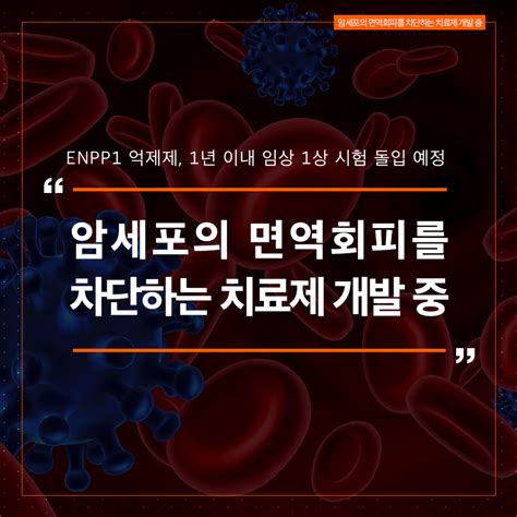gist 광주과학기술원 암세포의 면역회피를 차단시킬 수 있는 치료제가 임상 진행 중 ️ ️ facebook