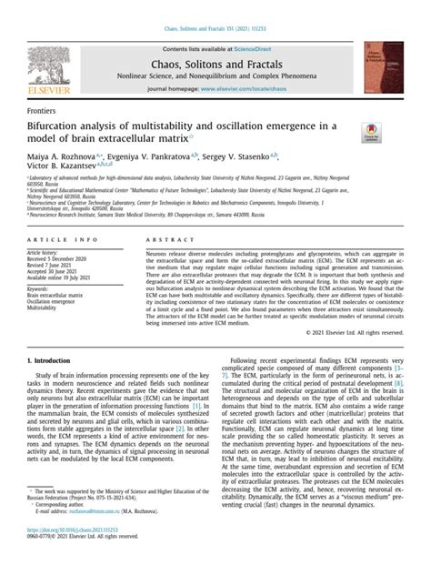 bifurcation oscillation model brain extracellular matrix chaos sf