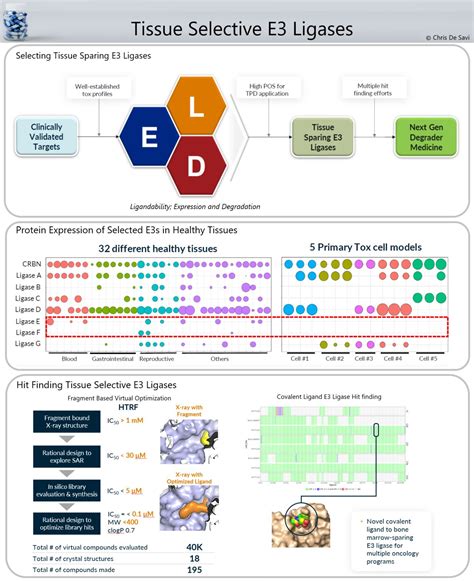 Identifying High Impact Tissue Sparing E3 Ligases And Their Binders