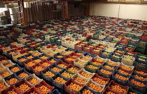Malaysias Fruit Import Growth Threatened By New Sales Tax • Eastfruit