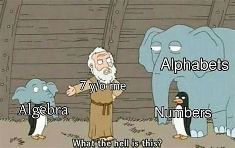 What Learning Algebra Is Like R Mathmemes