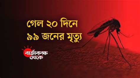 ডেঙ্গুর বিস্তার রোধে এখন কী করণীয় বার্তাকক্ষ থেকে Bartakakkha Theke Youtube