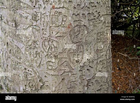 Initials Carved Tree Carving Hi Res Stock Photography And Images Alamy