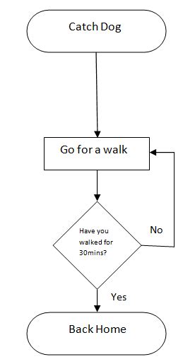 Vickiist Sample Flow Charts