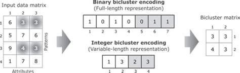 Metaheuristic Biclustering Algorithms From State Of The Art To Future Opportunities Acm