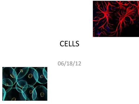 Ppt Cells Powerpoint Presentation Free Download Id1984876