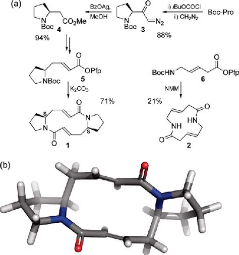 Figure 1 From Simultaneous Chirality Transfer And Structured Aggregation Of A Cyclopeptide In A