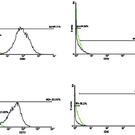 Flow Cytometry Analysis Of Mesenchymal Stem Cell Msc Marker