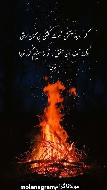 آتش شهوت را بکشید شهوتی شهوتسرا ناخن رقص زناشویی سکسیسم عروسی حشری لزبین برده شعرغزل