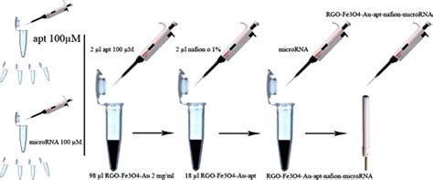 Schematic Procedure Of Electrode Modification Download Scientific Diagram