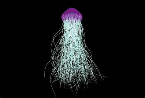 Jellyfish Works In Progress Blender Artists Community