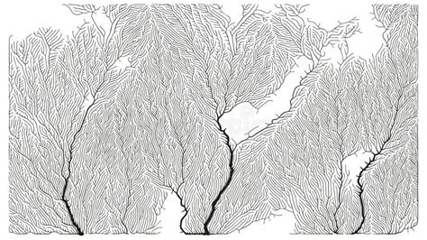 Growth Pattern Generative Branching Structure Organic Net Of Vessels Texture Stock Vector