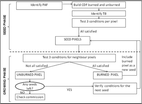 Main Steps Of The Algorithm Seed And Growing Phases Download Scientific Diagram