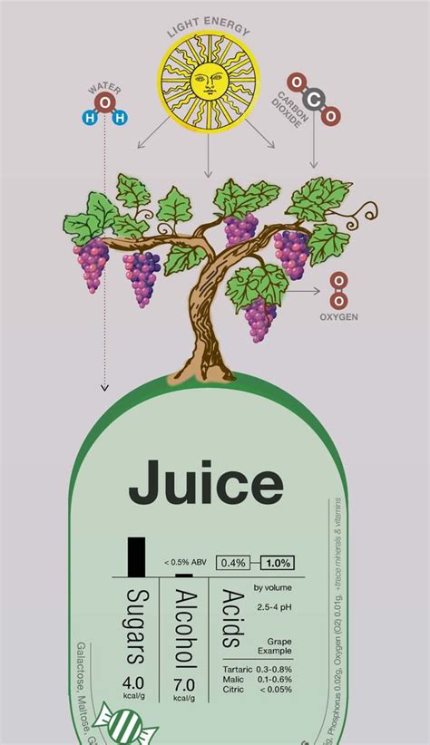 Fermentation Diagram Sidebar [oc] Work In Progress Please Share Your Thoughts R Fermentation