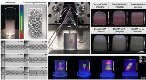 Functionally Graded Porous Materials — Costantini Lab