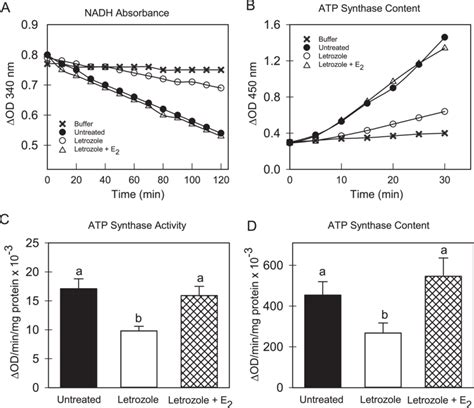 Representative Examples Of The Decrease In Absorbance Of Nadh Download Scientific Diagram