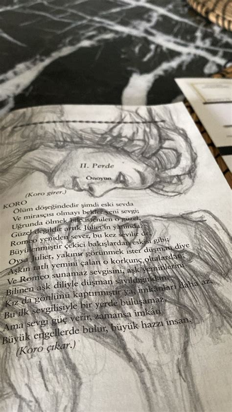 Romeo And Juliet Kitap Posterleri Sanat çizimleri Çizim Fikirleri
