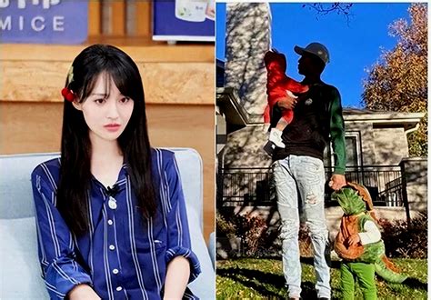 There Is A Kind Of Plastic Surgery That Makes Zheng Shuang Quit The