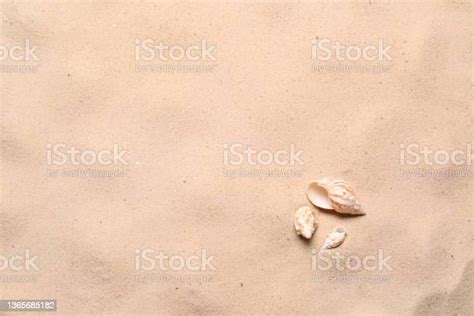 해변 모래에 아름다운 조개 텍스트를위한 공간이 평평한 누워 여름 방학 0명에 대한 스톡 사진 및 기타 이미지 0명 개념 개념과 주제 Istock