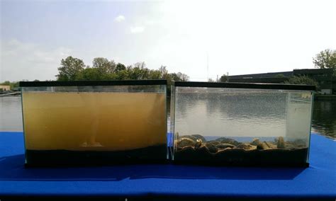 B C Nh V S C M Nh L C N C C A Trai N C Ng T Khoahoc Tv