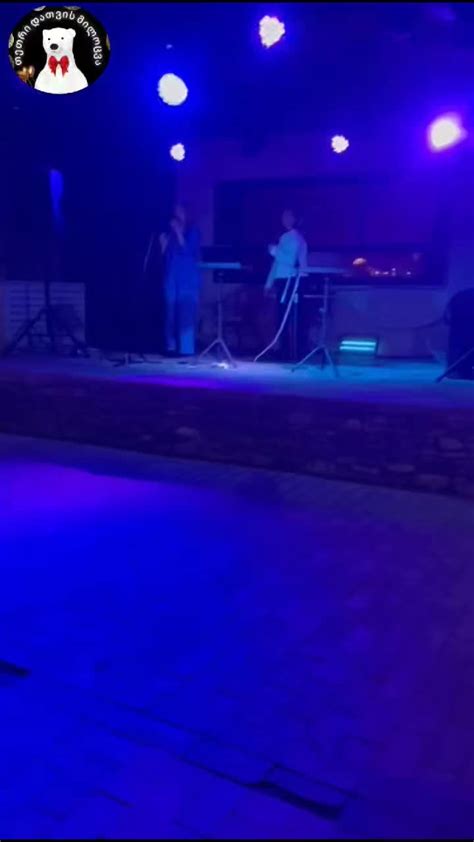 თეთრი დათვის მილოცვა Tetri Datvis Milocva • Instagram Photos And Videos