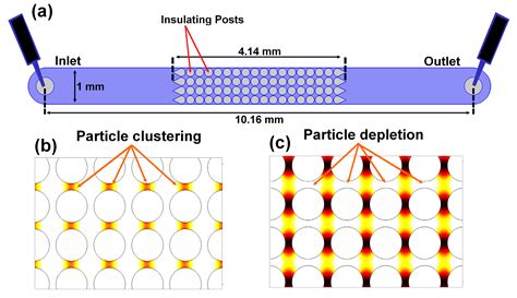 Assessment Of Sub Micron Particles By Exploiting Charge Differences With Dielectrophoresis