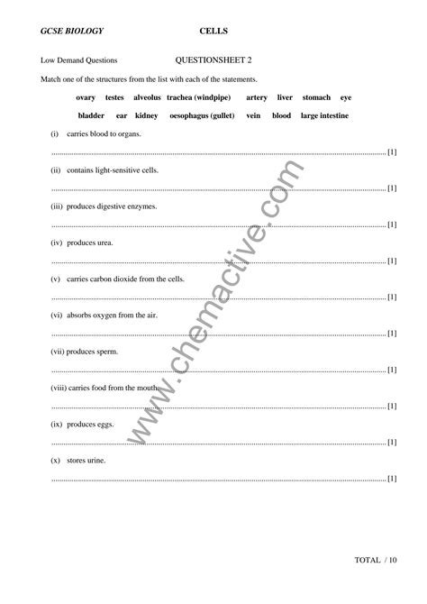 SOLUTION Cells Questions And Answers Exercise Studypool