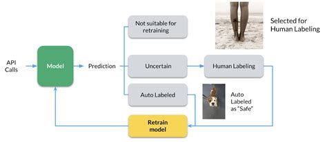 creating a user feedback loop for refining machine learning models in