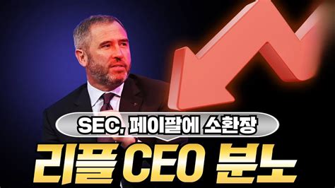 리플 비트코인 이더리움 리플 Ceo 분노 왜 Youtube