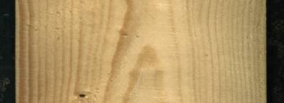 Wood Defect Detection Dataset Ninja