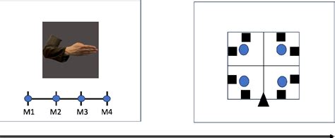 Figure 3 From Egocentric And Allocentric Spatial Memory For Body Parts