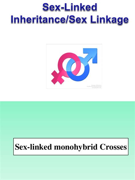 Sexlinked Inheritanceppt2 Download Free Pdf Dominance Genetics