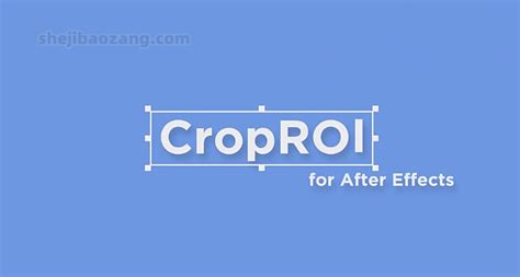 Ae脚本中文汉化 Crop 裁剪roi V11预合成自定义区域 设计宝藏