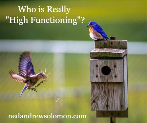 Who Is Really “high Functioning”