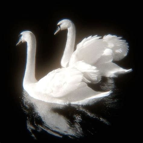 Pairing Felix X Reader Warnings Ummm Smut Porn Notes Be Logged Into Jisvnng On