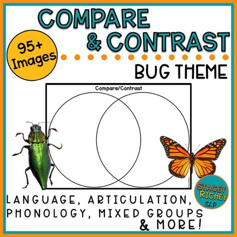 A Bug And Butterfly Diagram With The Words Compare Contrast