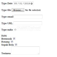 Macam Macam Type Tag Input HTML Kursus Web Design Private Online 1 On 1 DUMET Babe