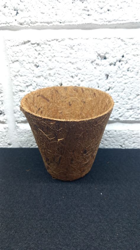 Coco Plant Life Get Up And Grow