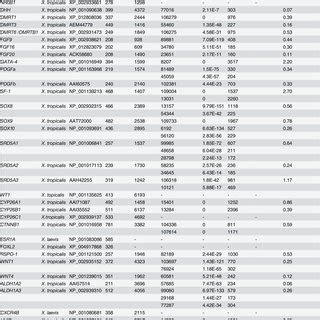 Male And Female Sex Determining And Sex Differentiation Gene Inventory Download Table