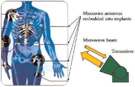 Figure 3 From The Interaction Of Microwaves With Materials Of Different Properties Semantic