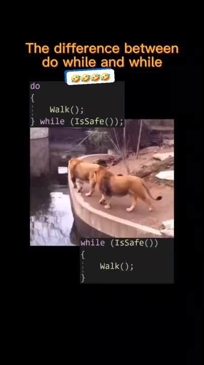Abdulboriy Malikov On Linkedin The Differences Between Do While And While Loop🤣🤣🤣 Javascript Js