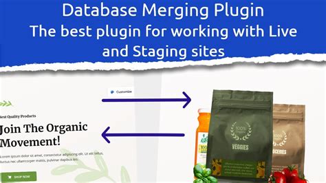 the best way to work with wordpress staging environment database